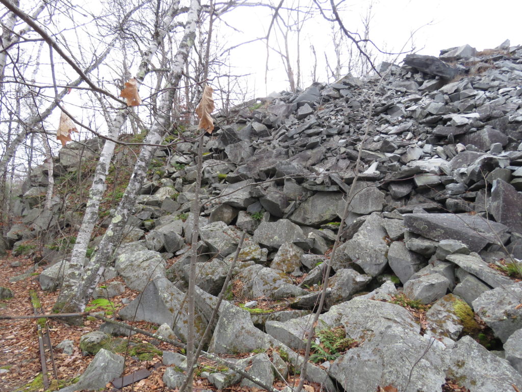 New England Day Trip: Becket Land Trust; Historic Quarry & Forest ...